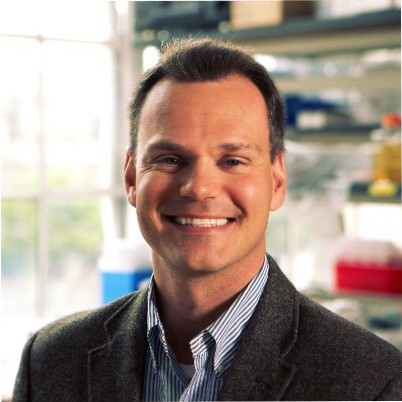 The Venture Collective